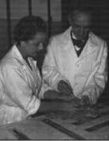 Filomena Nitti Bovet | Scienza in rete